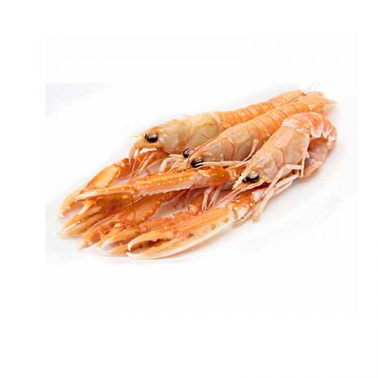 Scampi Medi 13/16 Congelati 750gr. - Picchioni Surgelati